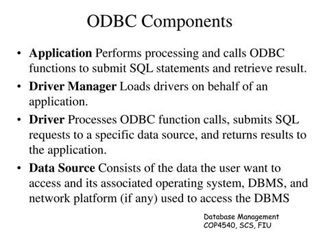 PPT Programming With ODBC PowerPoint Presentation Free Download ID