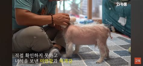 더쿠 입양3일만에 이상행동 보인 강아지 입양자에게 포기를 권하자 돌아온 대답