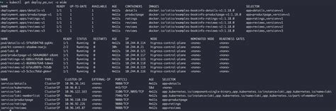 istio：搭建istio完整环境 配置环境变量istio csdn博客