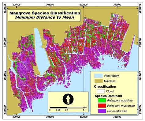 Results Of Mangrove Species Classification Algorithm Minimum Distance