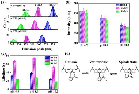 Investigating The Photophysical Properties Of Rhodamines Using A Spectroscopic Single Molecule