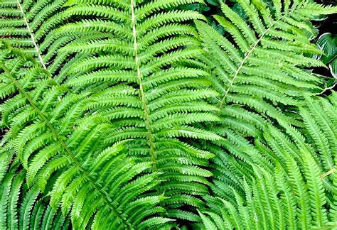 Design And Analysis Of Algorithms Summer Session