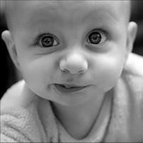 Noha El Said The British University In Egypt Cairo Research Profile