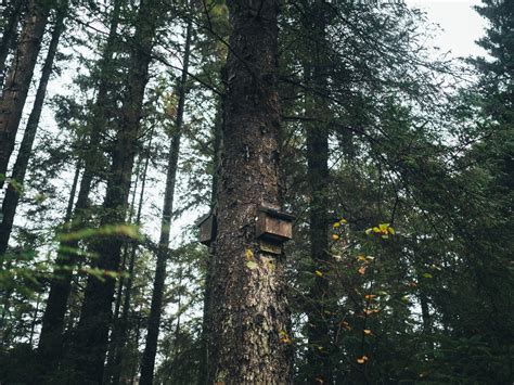 Ecological Mitigation For Development — The Ecology Co Op