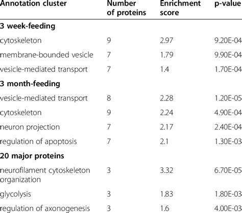 Functional Annotation Clustering Of The Proteins Differentially