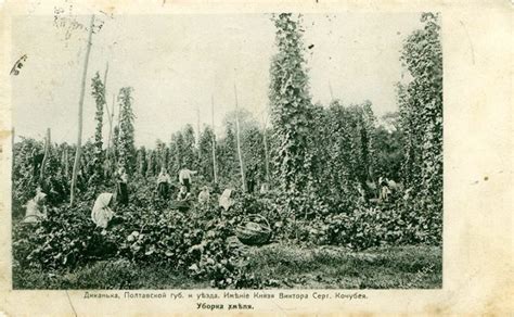 Колекціонер виклав у вільний доступ 40 рідкісних листівок з українськими краєвидами Xix