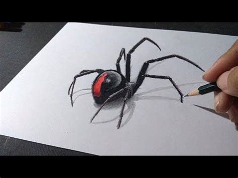 3d Drawing Black Widow Spider In 2025 Spider Drawing Black Widow