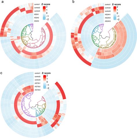 Hierarchical Clustering Analysis Showing The Fold Change Of The Top
