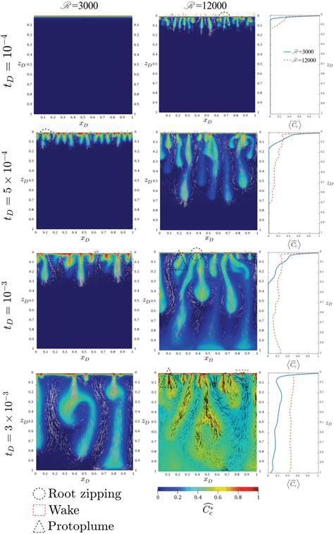 Time Evolution Of The Carbon Pseudocomponent Concentration In The Download Scientific Diagram