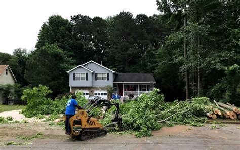 Simple Guide To Pruning Trees Boost Health And Growth Easily