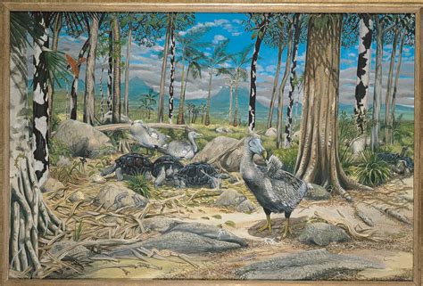 Scientific Review Corrects Dodo Extinction Record