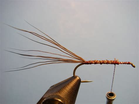 Tilt Shoot Iso Dry Isonychia Fly Pattern How To Tie