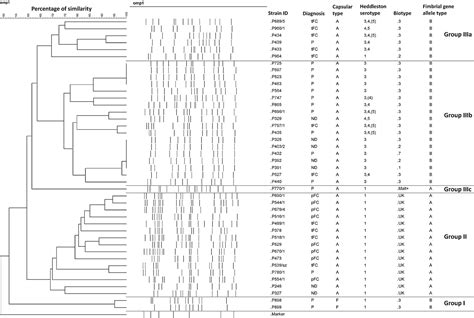 Figure 1 From Characterization Of Pasteurella Multocida Strains Isolated From Geese Semantic