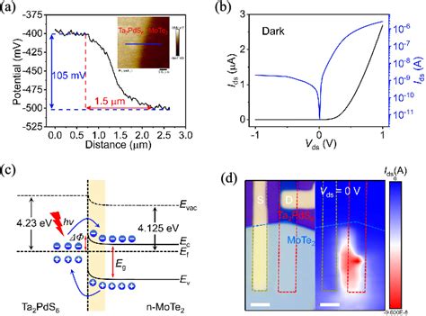 Figure 1 From Self Powered Photodetector With High Polarization Sensitivity Enabled By Ta2pds6