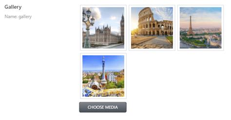 how to display gallery with dynamic field widget jetengine crocoblock