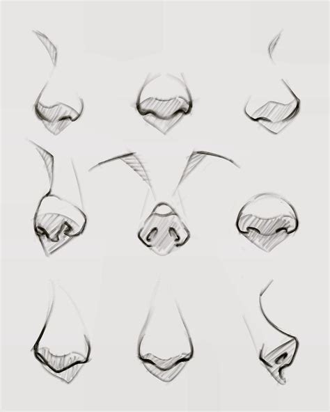 Pin On Character Design In 2024 Nose Drawing Art Tools Drawing Easy Pin On Character Design In 2024 Nose Drawing Art Tools Drawing Easy
