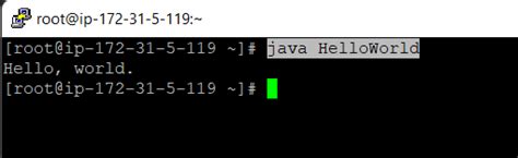 การติดตั้ง java ใน amazon linux 2 บน ec2 developersio