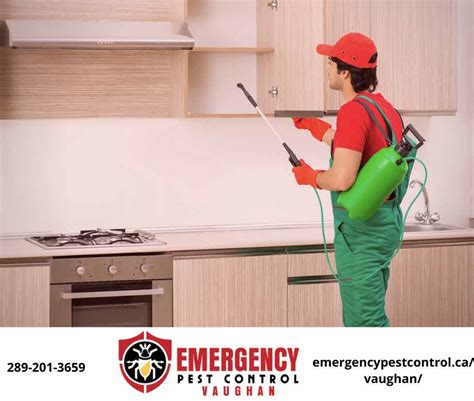 Pest Service Vaughan Emergency Get 50 Off Today 289 201 3569