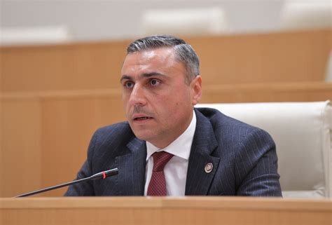 დავით მათიკაშვილი არსებობს ალბათობა იმისა რომ ქართული ჯარის ძარცვით მიღებულ თანხებთან ერთად