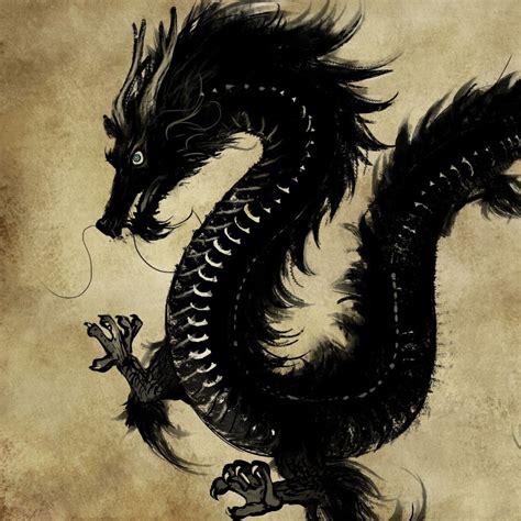 Declan Mcgrath Youtube