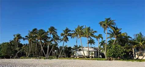 [video] Emmanuel Buisson On Linkedin Floridaliving