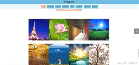 299springboot农业农事农作物管理系统（源码 文档 运行视频 讲解视频） 基于spring boot的作物表型系统 csdn博客
