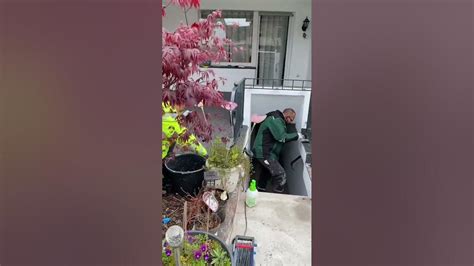 Natur Steinteppich Bodenbelag Terrassensanierung Treppensanierung