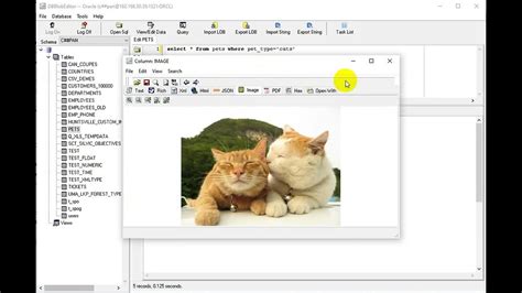 Batch Export Oracle Blob Data From Query Results To Files In A Few Clicks Youtube