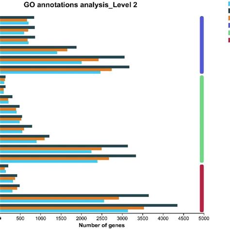 go annotations analysis of degs in the leaves of hybrid willow