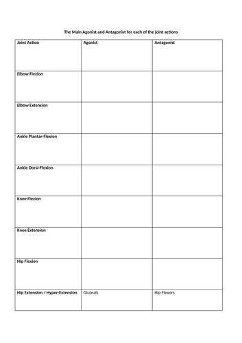 a level aqa muscles and skeleton teaching resources