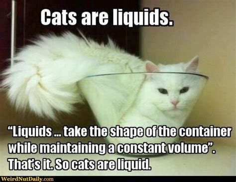 Pin By Cucumber Pipkin On Fallacy Memes Science Jokes Science Humor