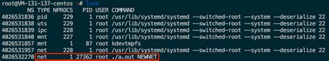 容器化技术之linux Namespace 学海无涯，行者无疆