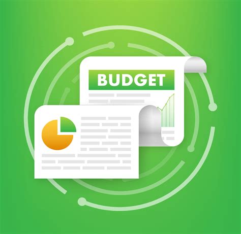 Financial Or Budget Analysis Budget File Management Cash Flow Vector