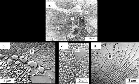 Microstructure Of As Cast In 100 Superalloy E Eutectic F Download Scientific Diagram