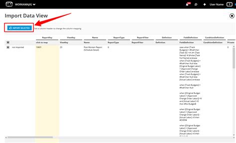Importing Custom Reports In Depth Guide Workamajig
