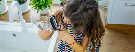 Benefits Of Domestic Reverse Osmosis Systems Pump Express