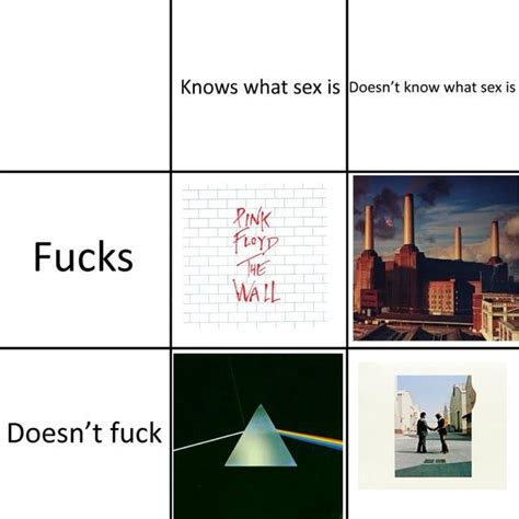 Pink Floyd Meme Trucs Drôles Humour Citations Damour