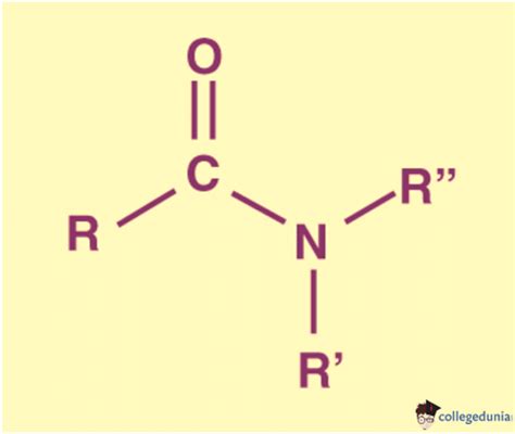 Hydrolysis Of Amide