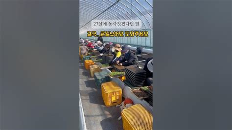 고추 육묘장 모종이식🌱♥️ Youtube
