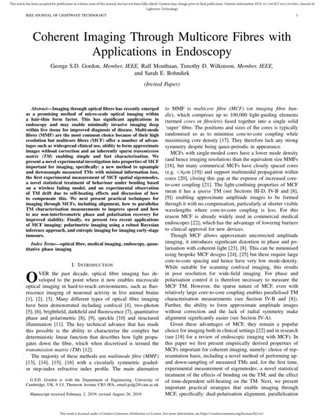 Pdf Coherent Imaging Through Multicore Fibres With Applications In