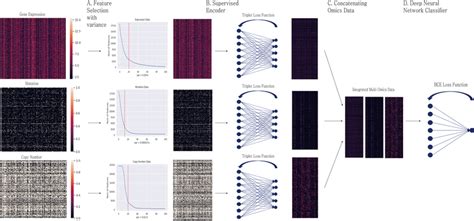 Workflow Of Superfelt A Reduction Of The Large Dimension Of Omics
