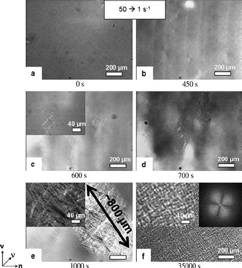 Depolarised Microscopy Images A F Of Defect Structures In The Download Scientific Diagram