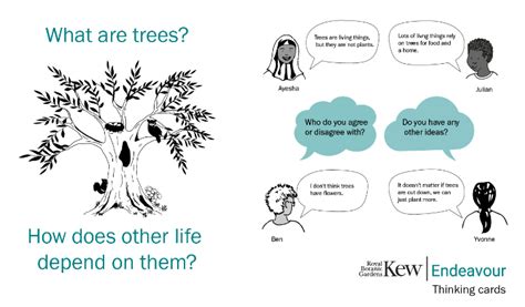 Ks2 Secret Life Of Trees Thinking Card Kew Endeavour