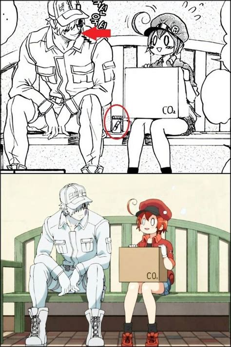 Descubre 64 Ideas De Cells At Work Y Eritrocito Personajes De Anime Anime Dibujos De Anime Y Más