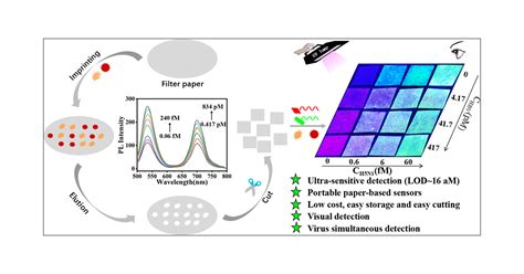 Ultra Sensitive Portable Visual Paper Based Viral Molecularly Imprinted