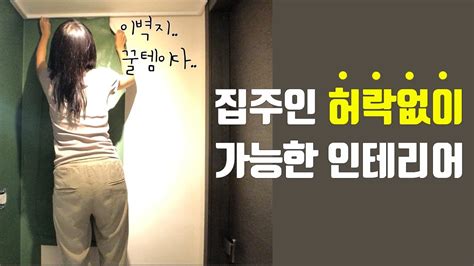 이사갈 때 원상복구가 가능한 벽지 전세집 월세집 인테리어 꿀템 Youtube