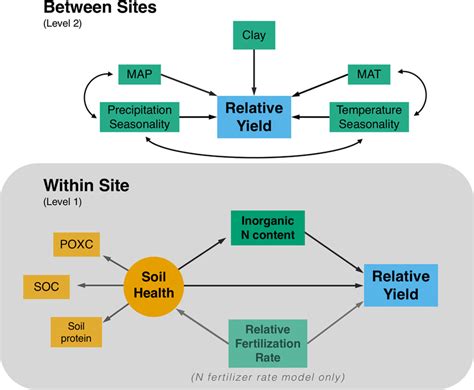 Baseline Structural Models For Multilevel Structural Equation Models