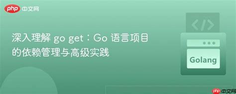 深入理解 Go Get：go 语言项目的依赖管理与高级实践 Golang Php中文网