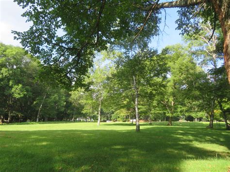 夏の風物詩花火・・・ 姫木の森 有限会社 長野県小県郡長和町 姫木平別荘地・りんどうの郷別荘地管理会社