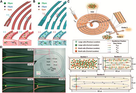 Frontiers Sheathless Inertial Particle Focusing Methods Within Microfluidic Devices A Review